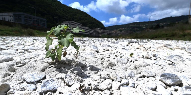 Drought in Sicily, the Region declares a state of water crisis for the ...