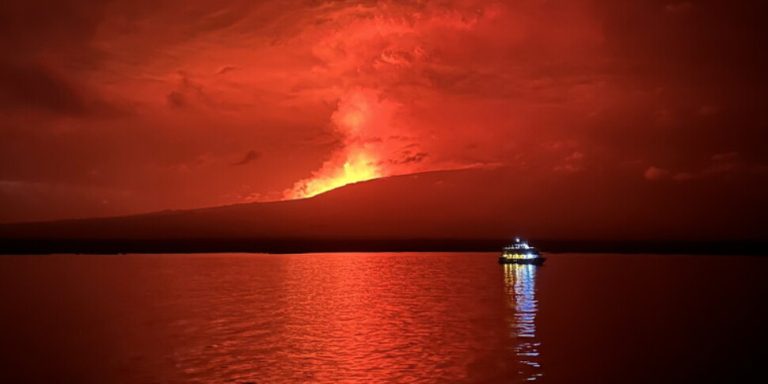 La Cumbre volcano erupting: state of alert in the Galapagos archipelago
